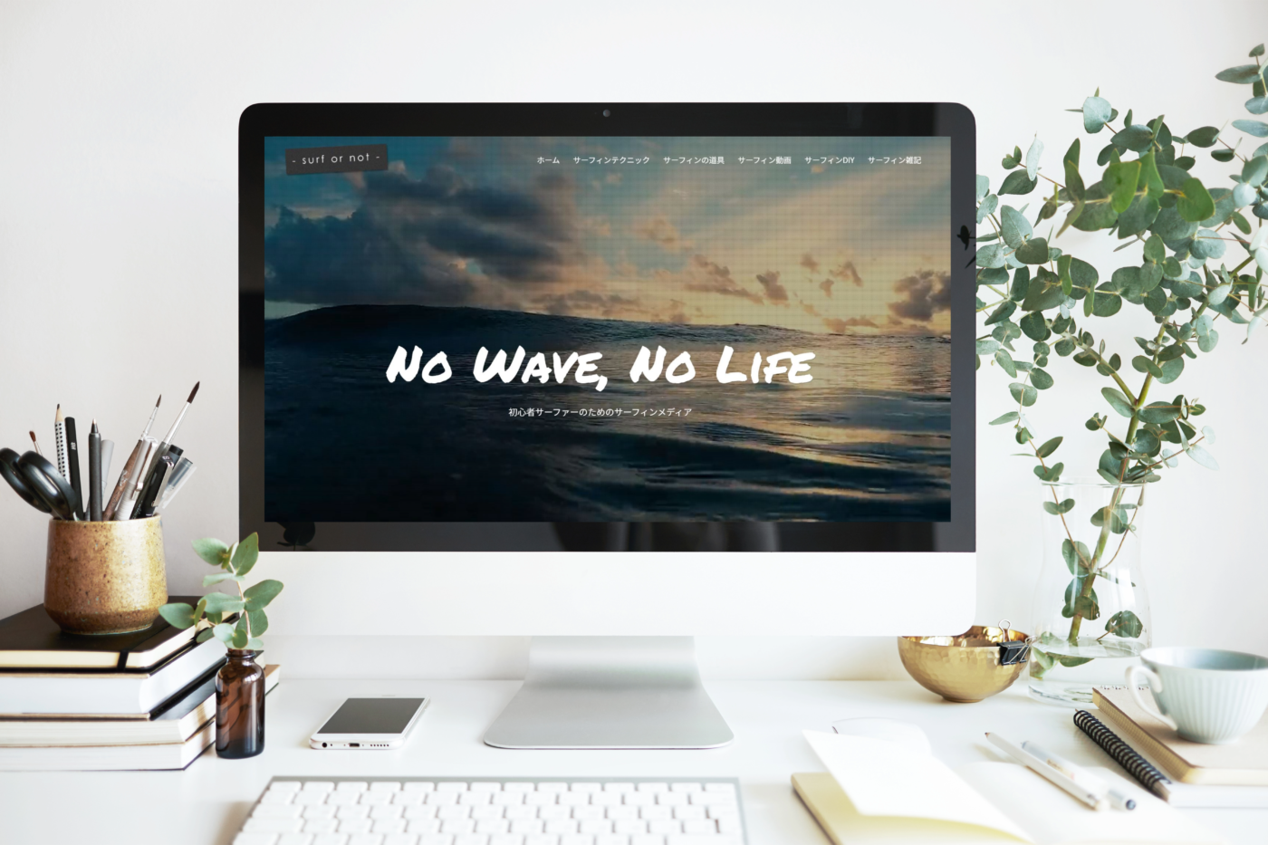 surf or not サーフィンメディアサイト | STANDARD or not